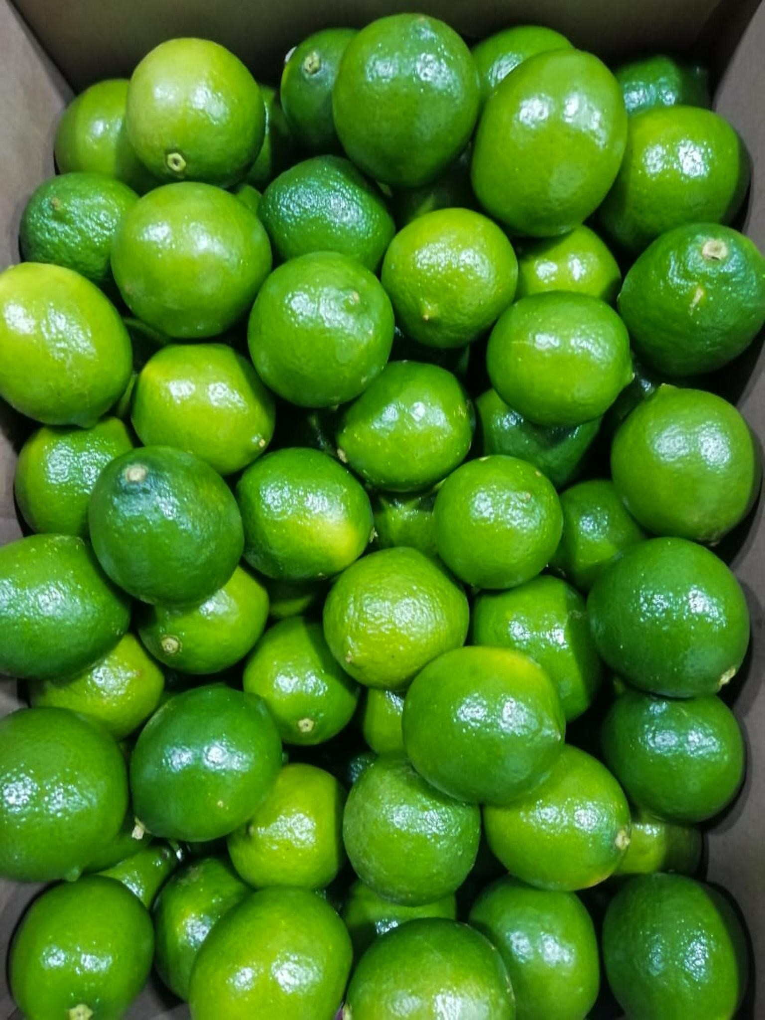 Limón Tahiti - Terra Trading SAS.